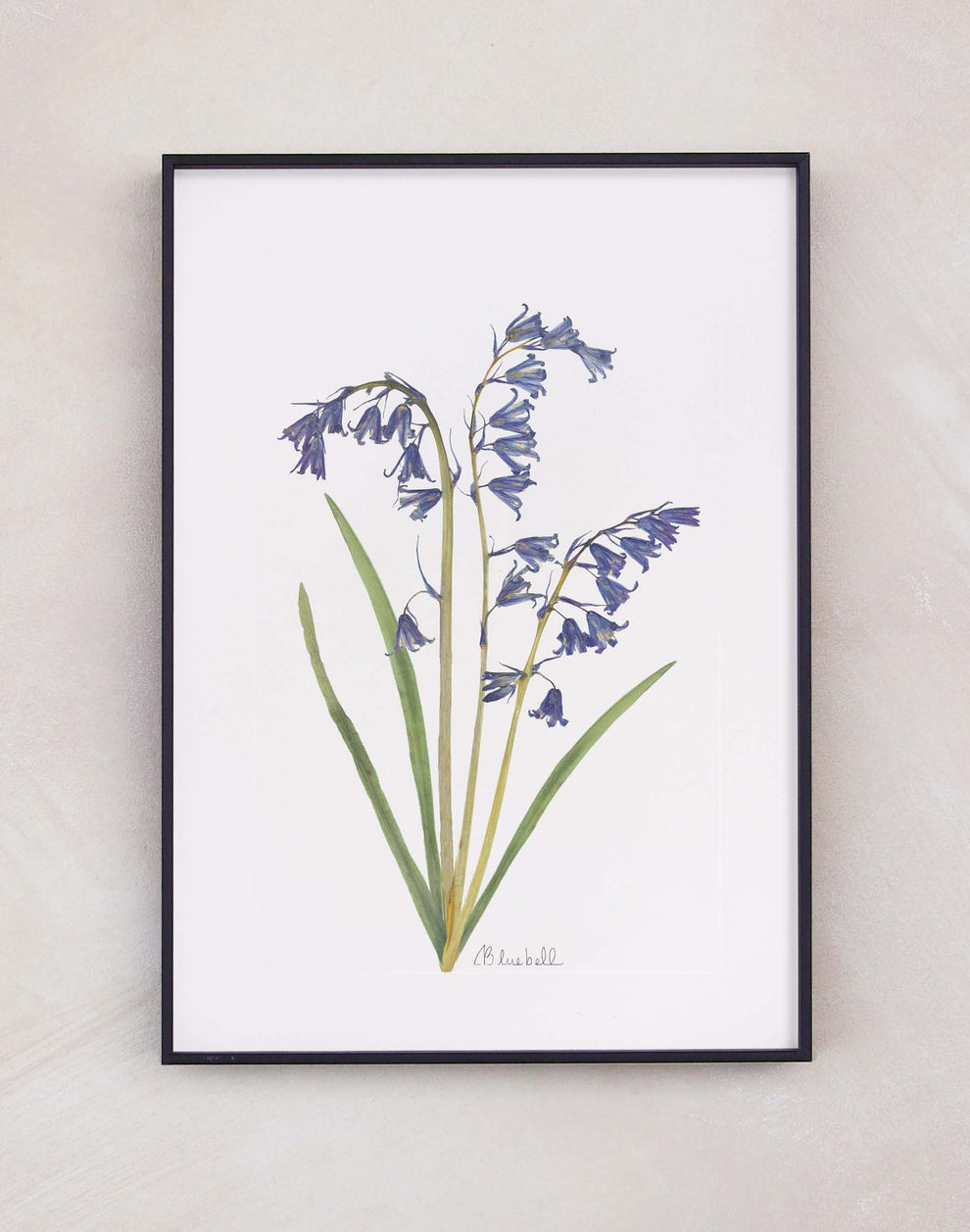 JamJar Edit - Bluebell Print