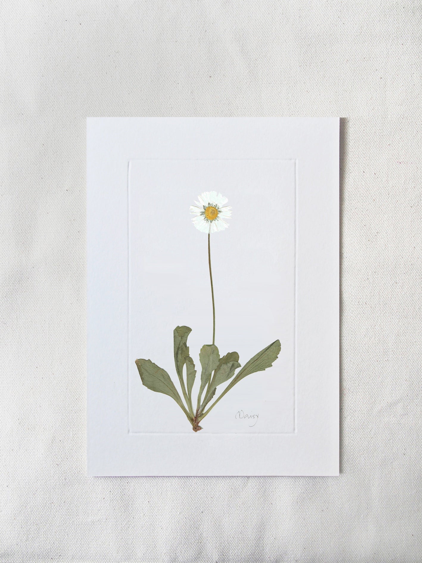 Jam Jar Edit – JamJar Edit