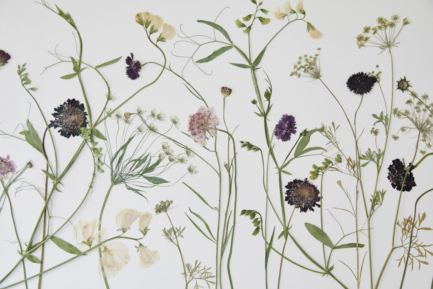 Jam Jar Edit – JamJar Edit