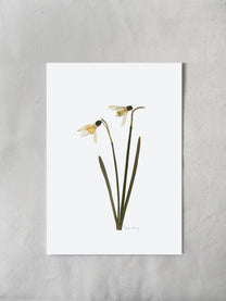 JamJar Edit - Seasonal Pressed Flower Prints