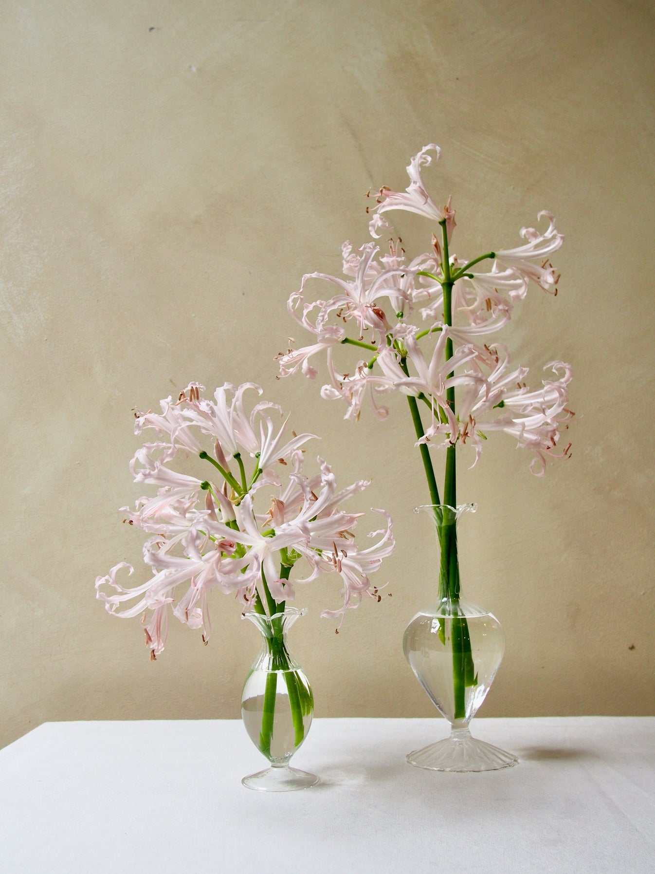 JamJar Edit - Glass Bud Vases
