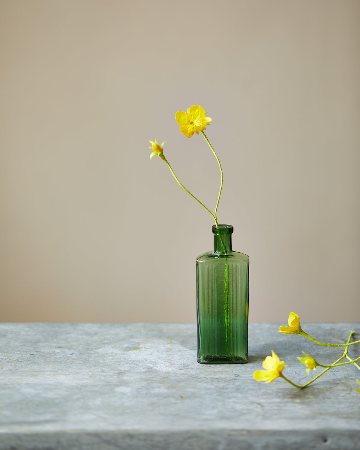 JamJar Edit - Paper Buttercups