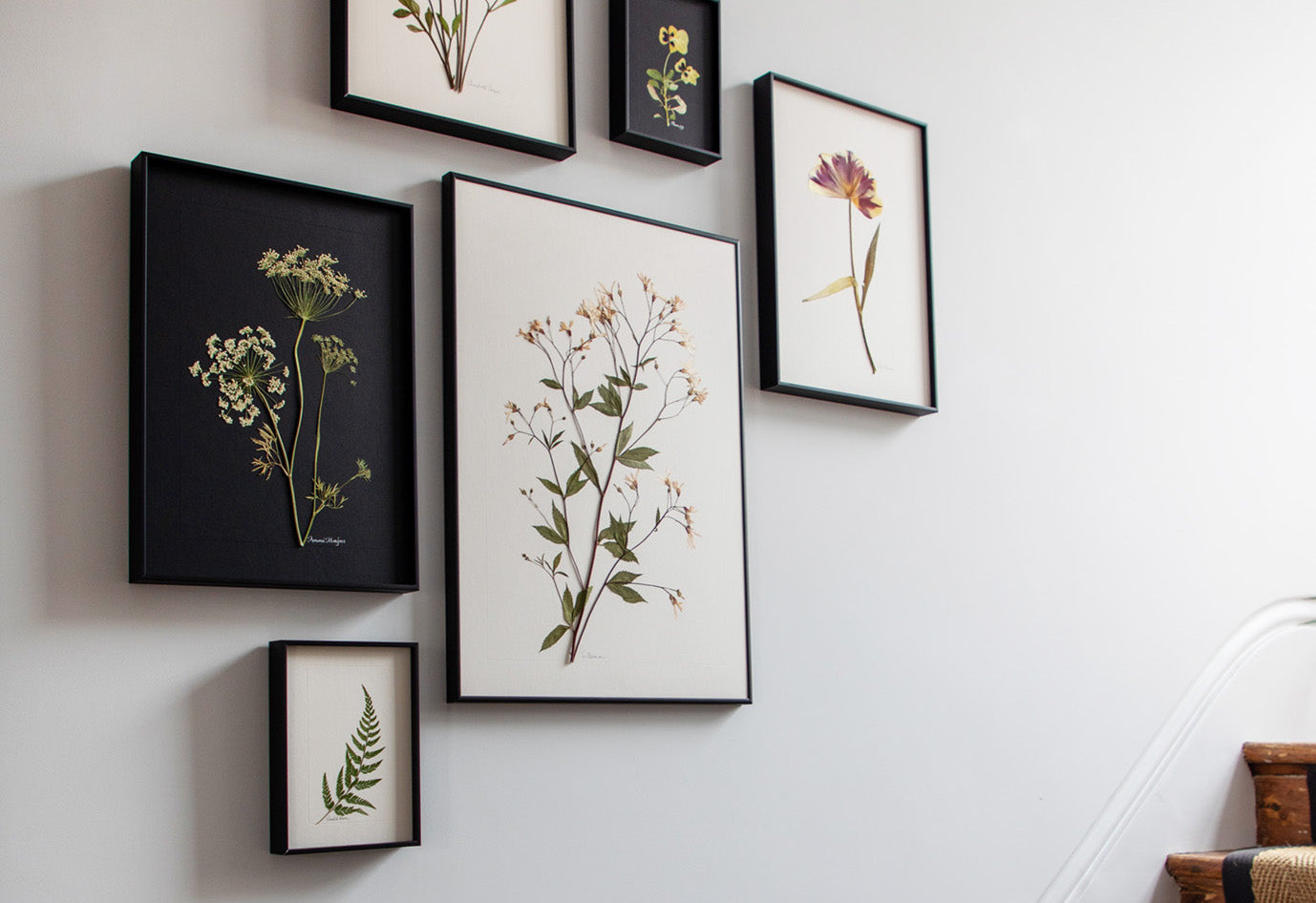 Jam Jar Edit – JamJar Edit